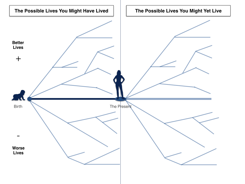 Philosophical Disquisitions: Possible Worlds and Possible Lives: A ...