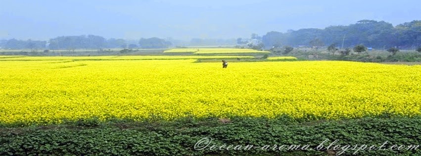 Shorisha Ful FB cover Photo - Unique « Ocean Aroma