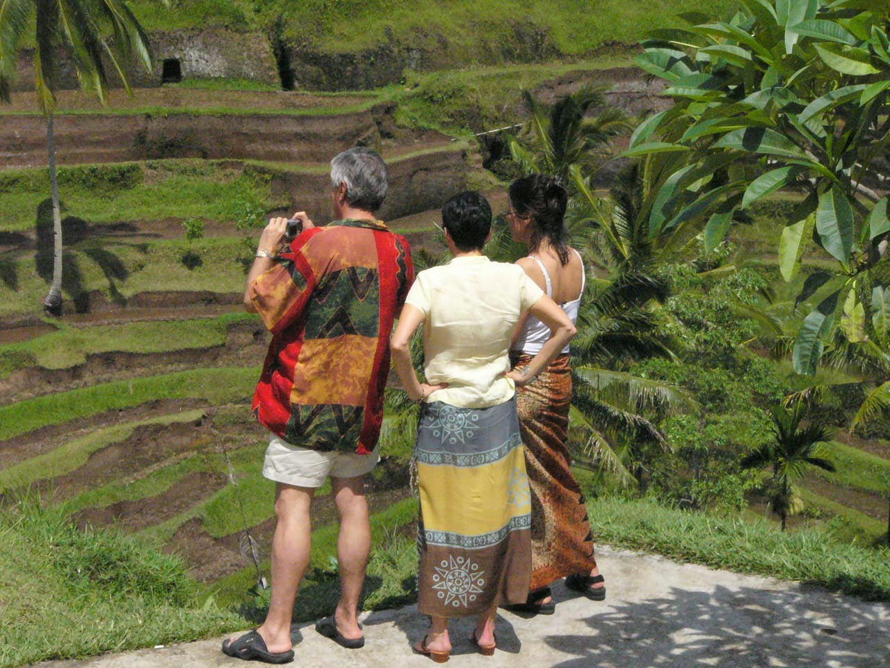 Bali Advisor Travel Forum: 10 FREE THINGS TO DO IN UBUD- BALI