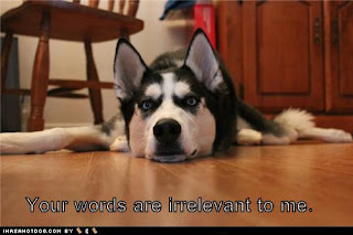Funny dogs with words