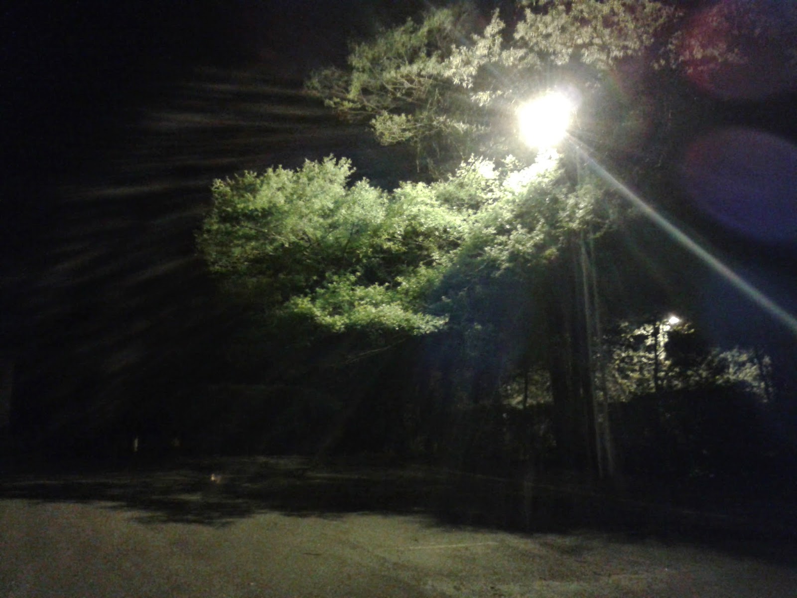 Loss of the Night citizen science project: April 2014