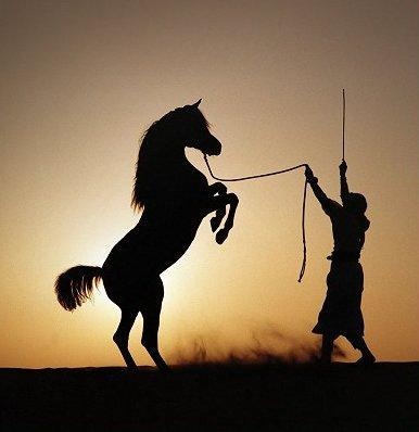 Ana Arabi: Arap At ve Sıfatları