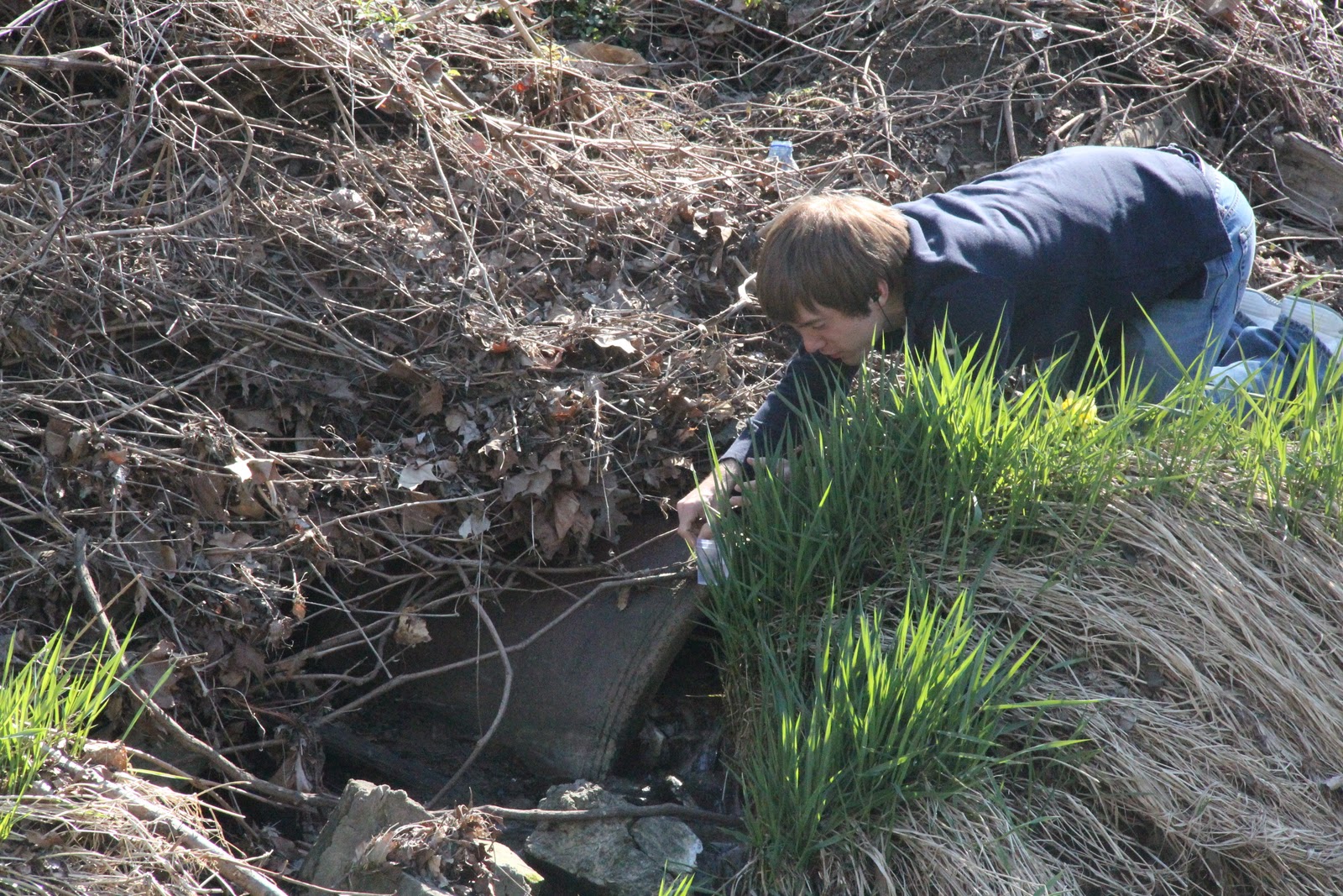 Microbiological Research by Alex Gain