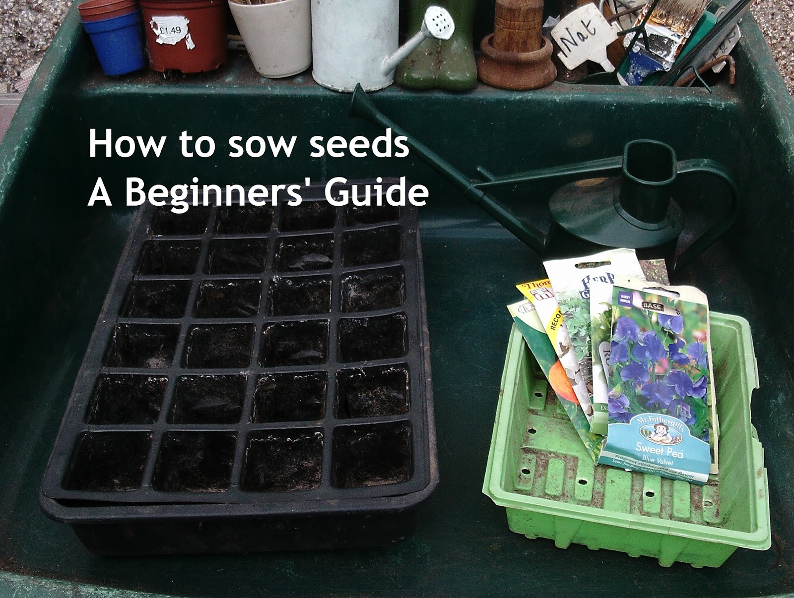 The Green Fingered Blog: How to sow seeds - A Beginner's Guide