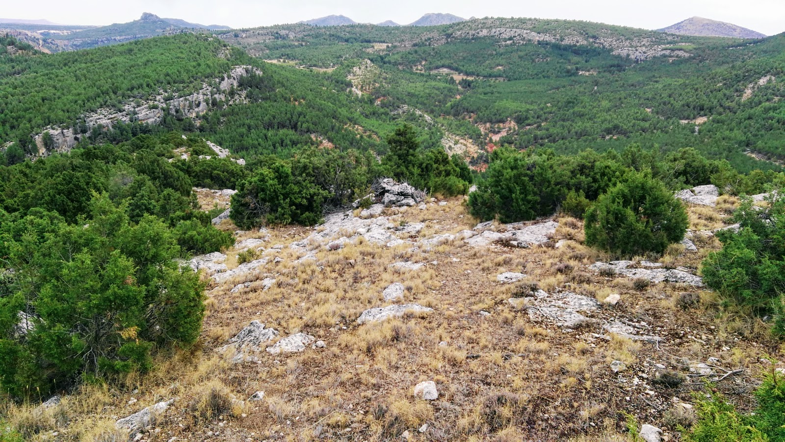 Nerpio: El poblado íbero del cerro del Macalón ~ 40 rutas