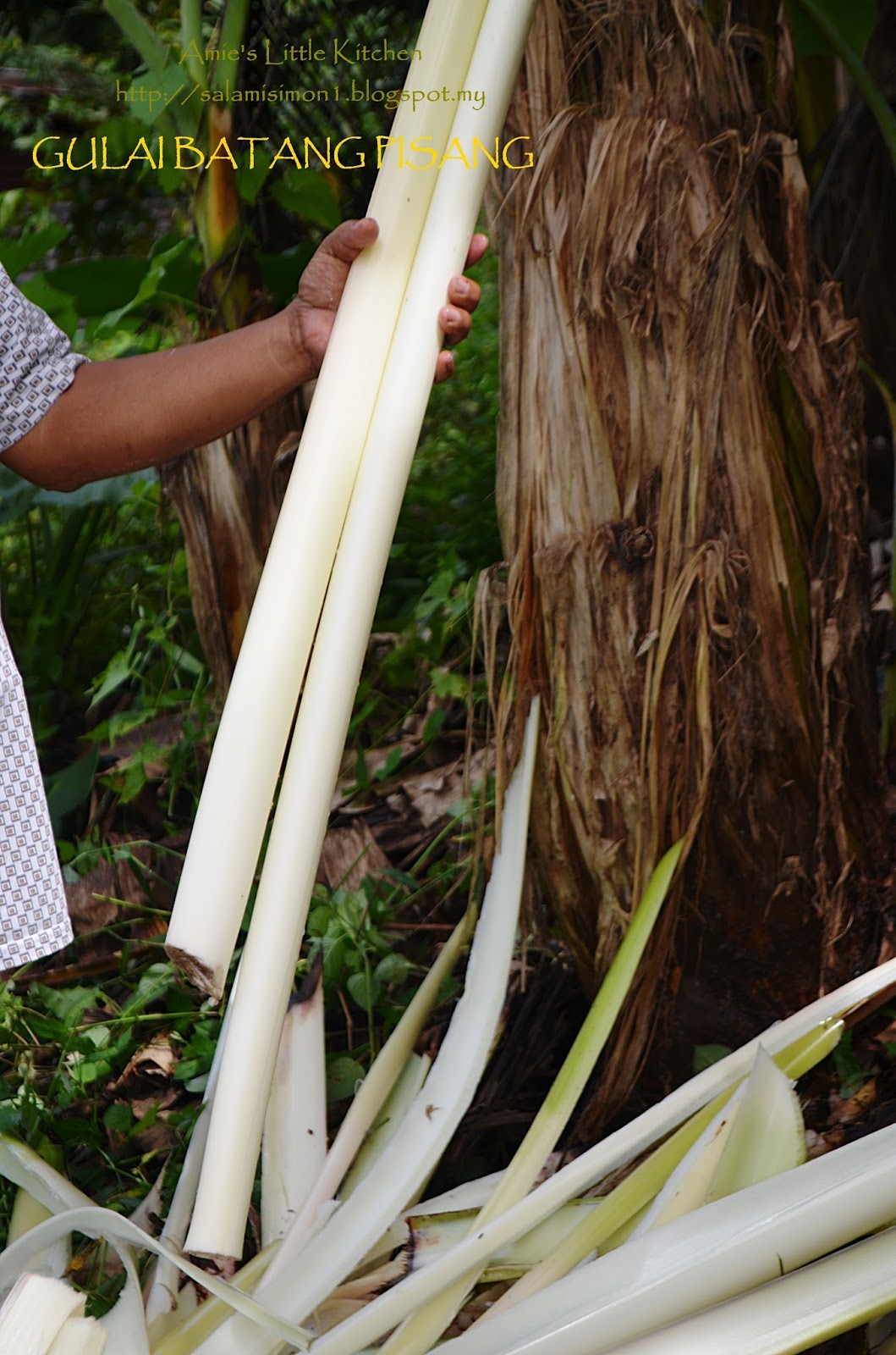 Gulai Batang Pisang - Amie's Little Kitchen