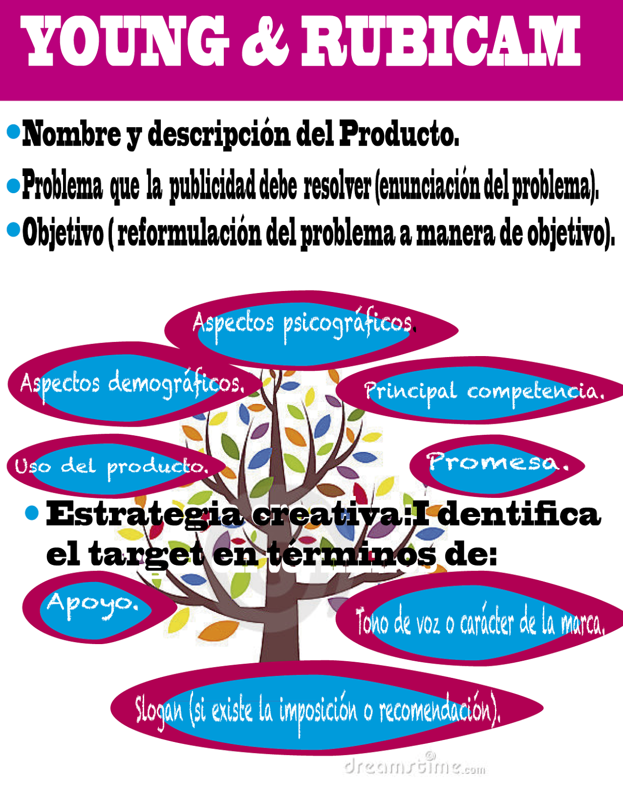 Diana Carolina Ramirez Cative: INFOGRAFIA YOUNG & RUBICAM