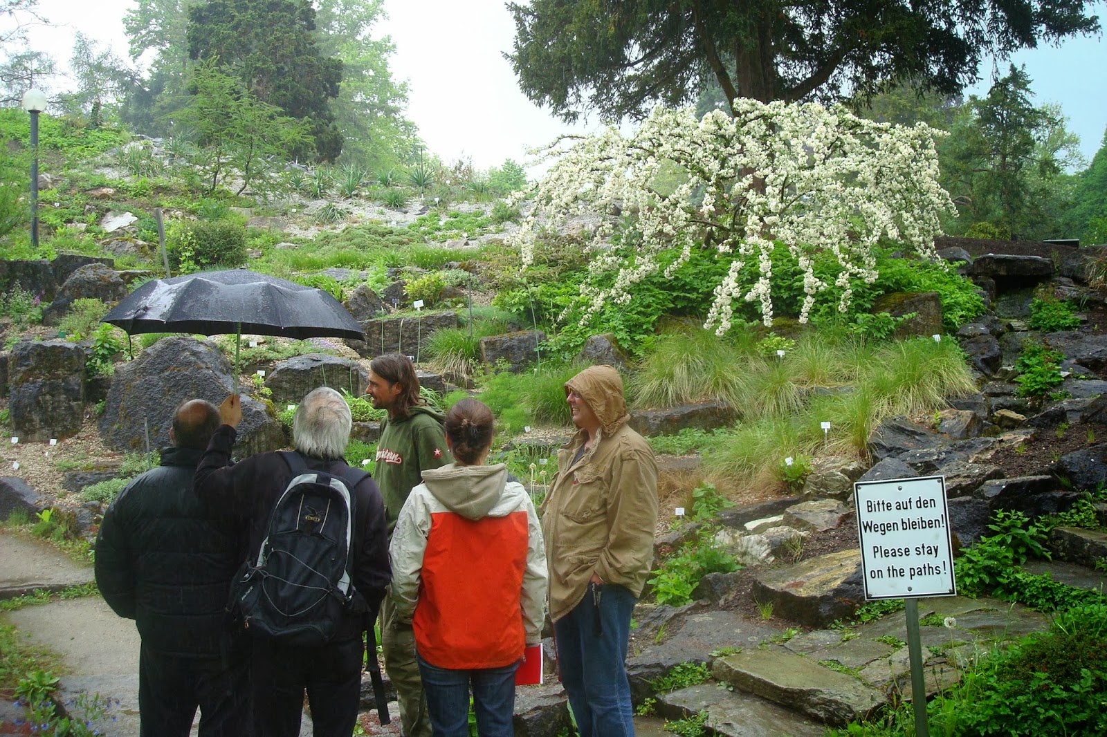 Prairiebreak: Palmengarten in Frankfurt: A snapshot in early May, 2013