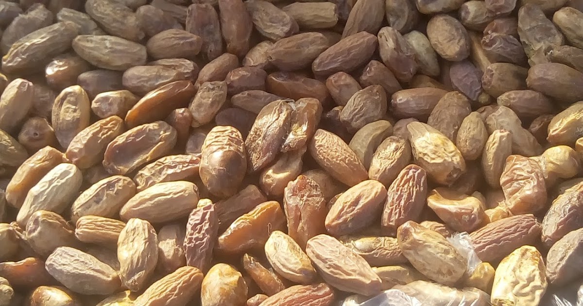 FRUITS: DATES OR DABINO