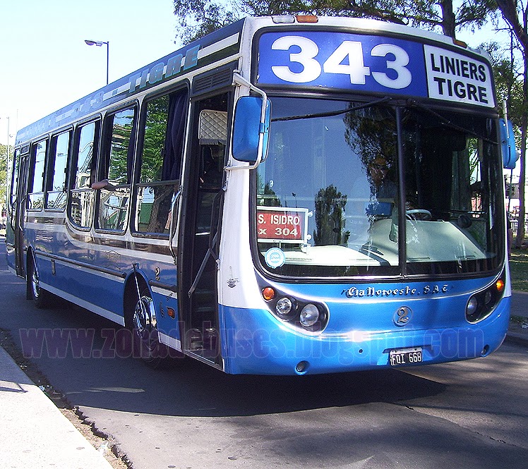 Colectibus - Zona de Buses: LINEA 304