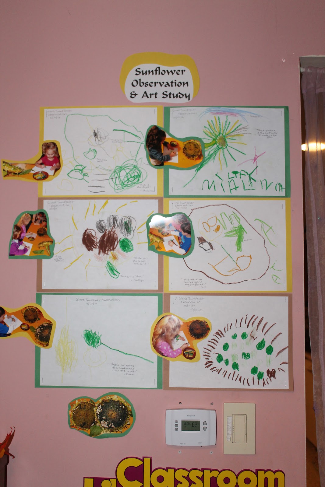 4 The Love of Learning: SUNFLOWER OBSERVATION AND ART STUDY