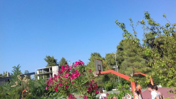 Έγινα 71 !Ε! και...: Στη κατασκήνωση με τα εγγόνια μου!