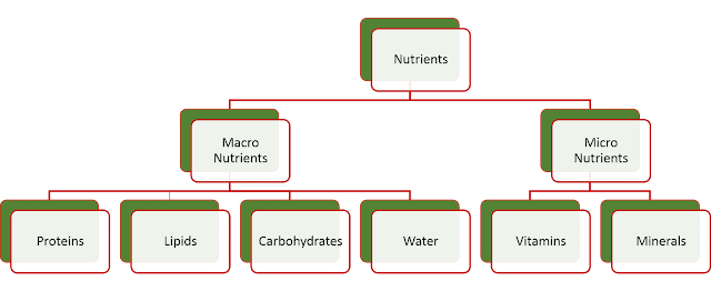 Nutrition Notes for IHM First Semester students: Unit 1 - Basic ...