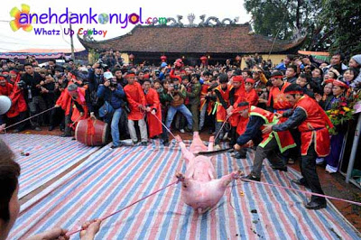 Wow..Ritual Membelah Babi Di Vietnam [Sadis] | Taman Bacaan Online