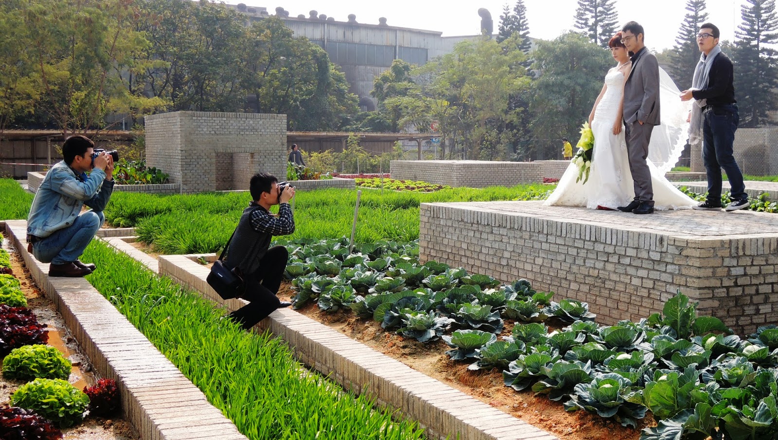 VOID MATTERS: Architecture References - Value Farm, by Thomas Chung