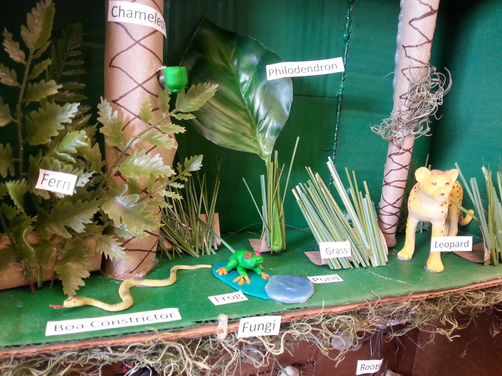 a faithful attempt: Science Habitat Dioramas- Forest Towers