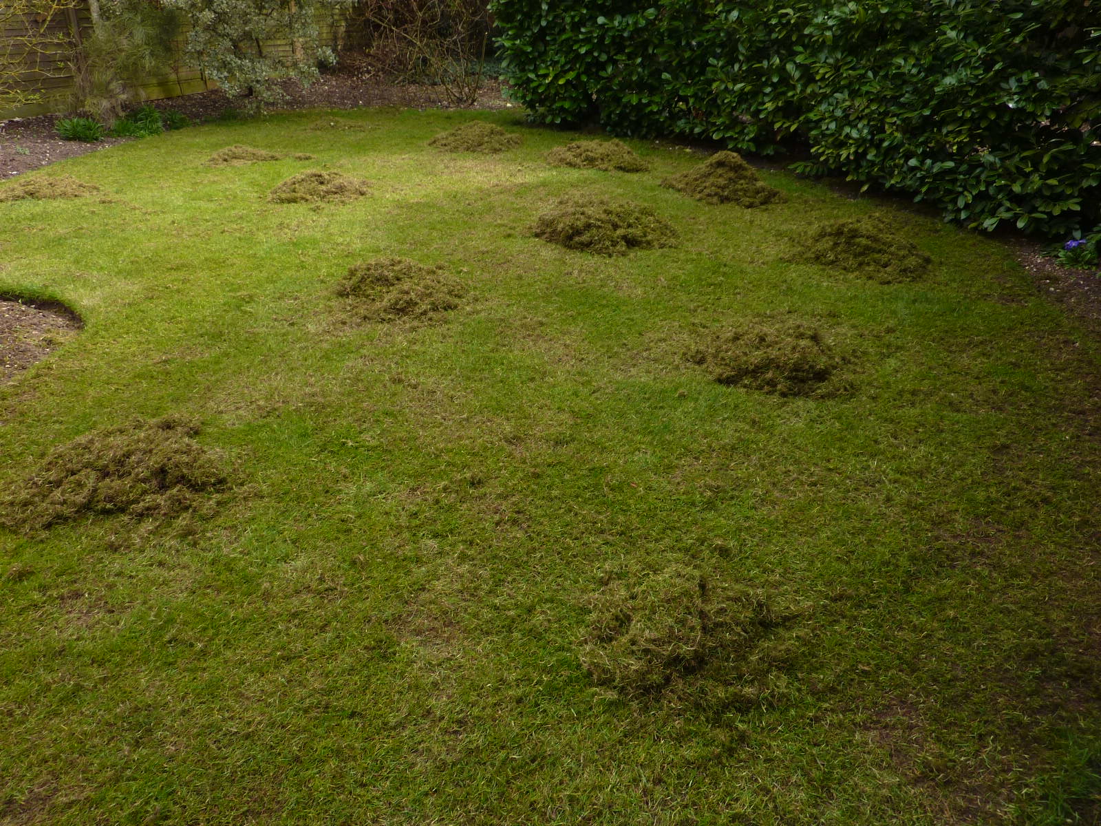 Easy Retirement: Mounds of Moss