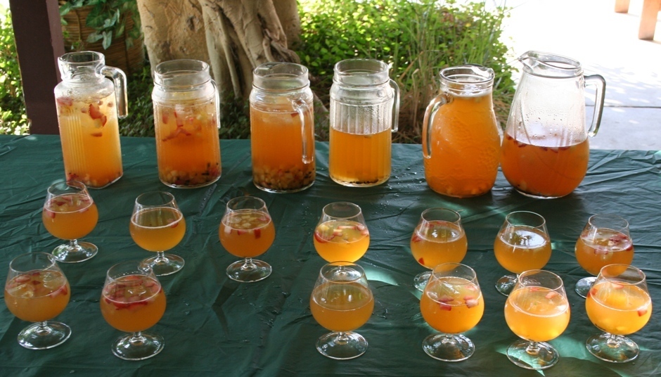 Iced Rooibos (Red Bush) Tea