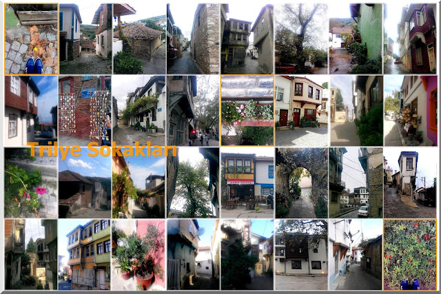 Hiçlikte Bir An: Tirilye-Trilye-Trilya-Zeytinbağı