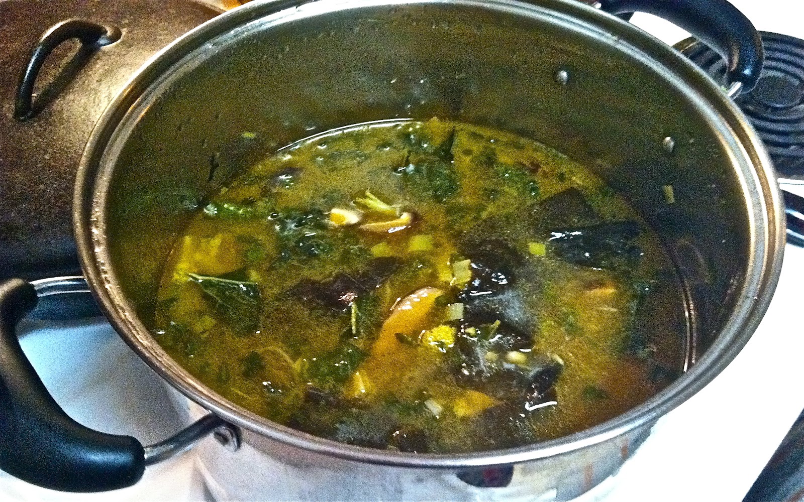 The Wise Owl Healing: Dead Bug Soup!