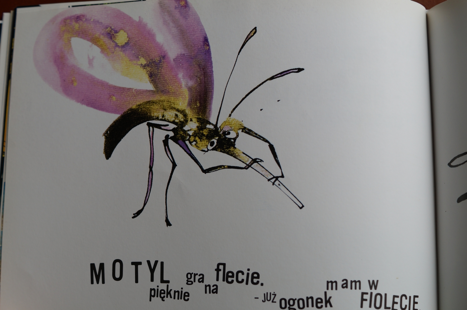 5kropek: Polscy ilustratorzy. Maria Ekier