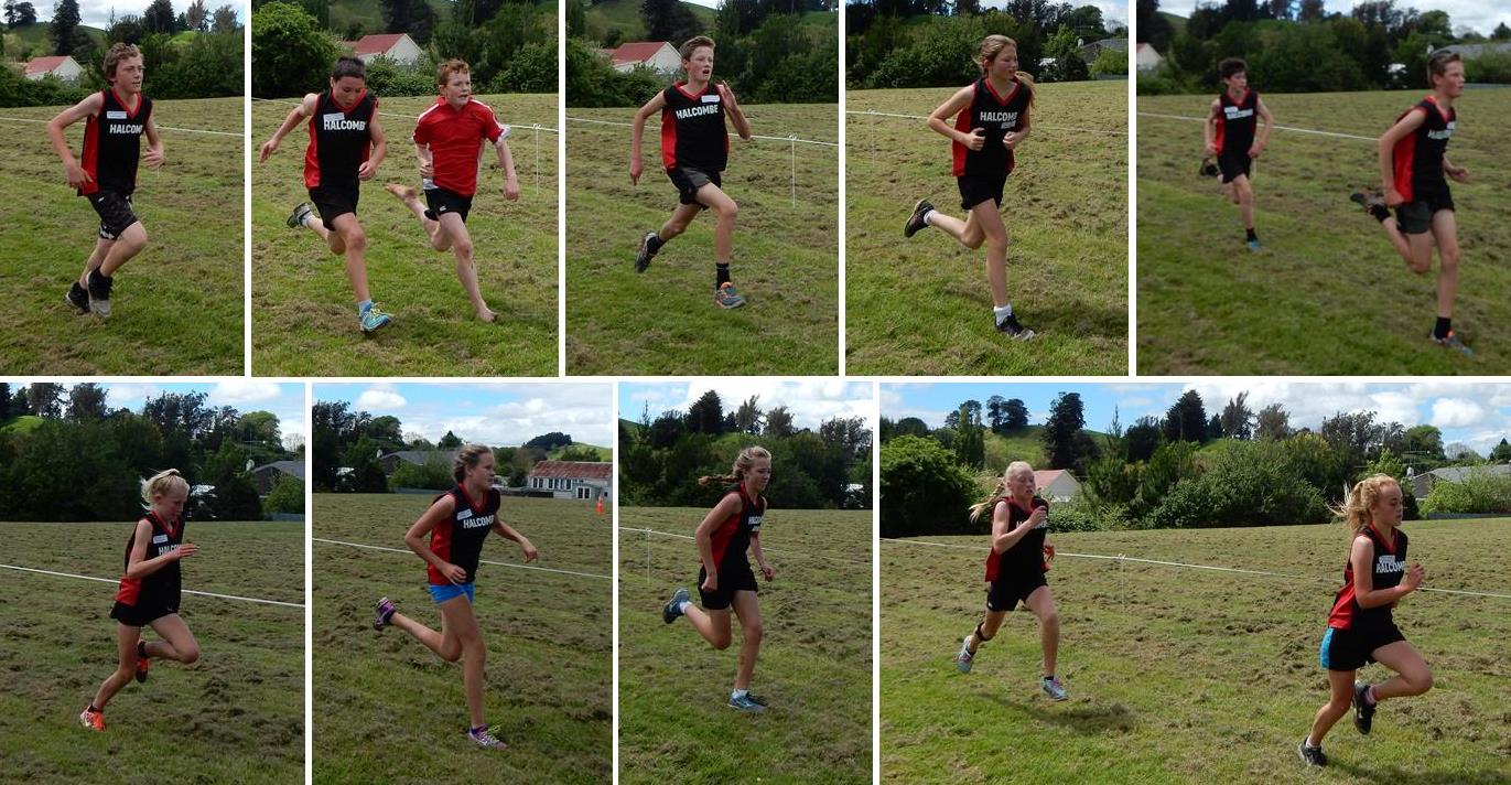 Room 8 - Halcombe School: Hunterville Interschool Cross Country