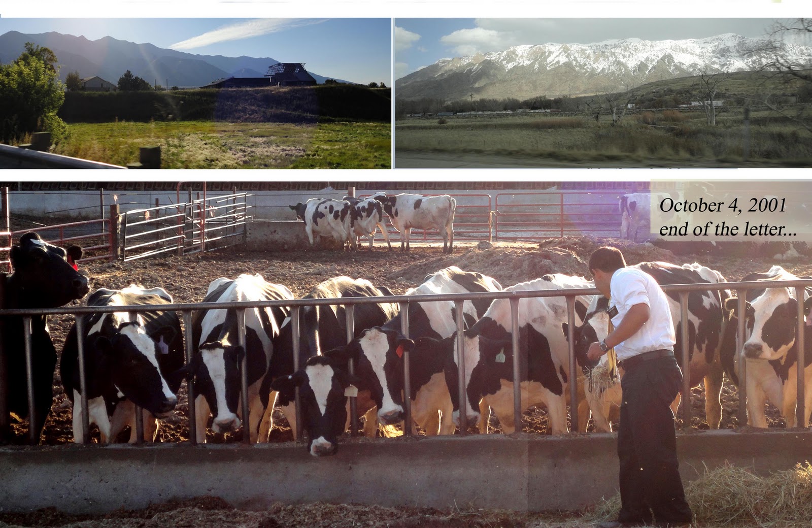 Elder JJ Simonsen: Elder Simonsen- Just completed his first year in the ...