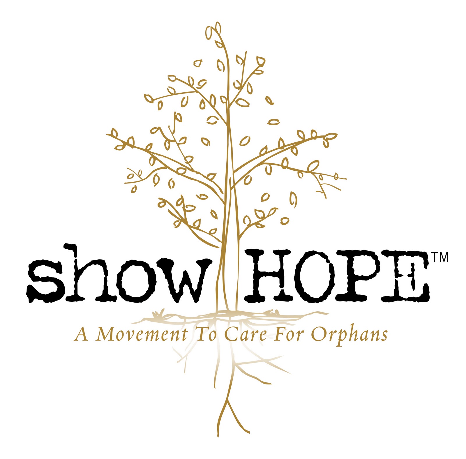 Creativity Boot Camp: About Show Hope...