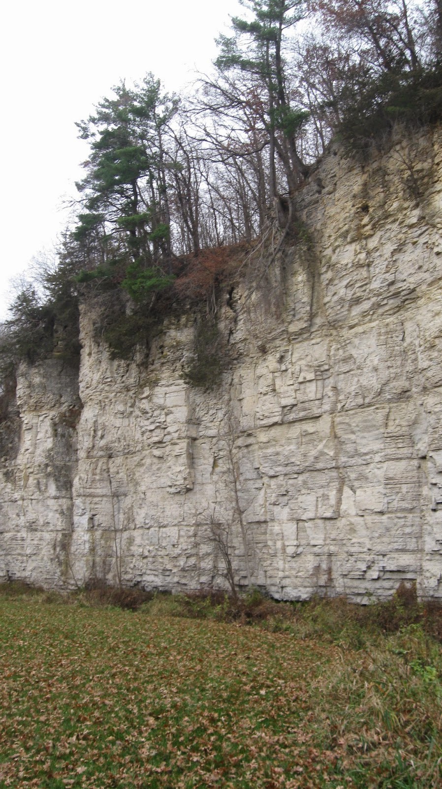 troutbirder: Limestone Cliffs