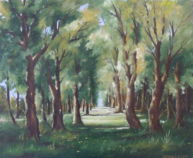 Precum zambetul unui copil: Summer seen through their eyes.. Vara prin ...