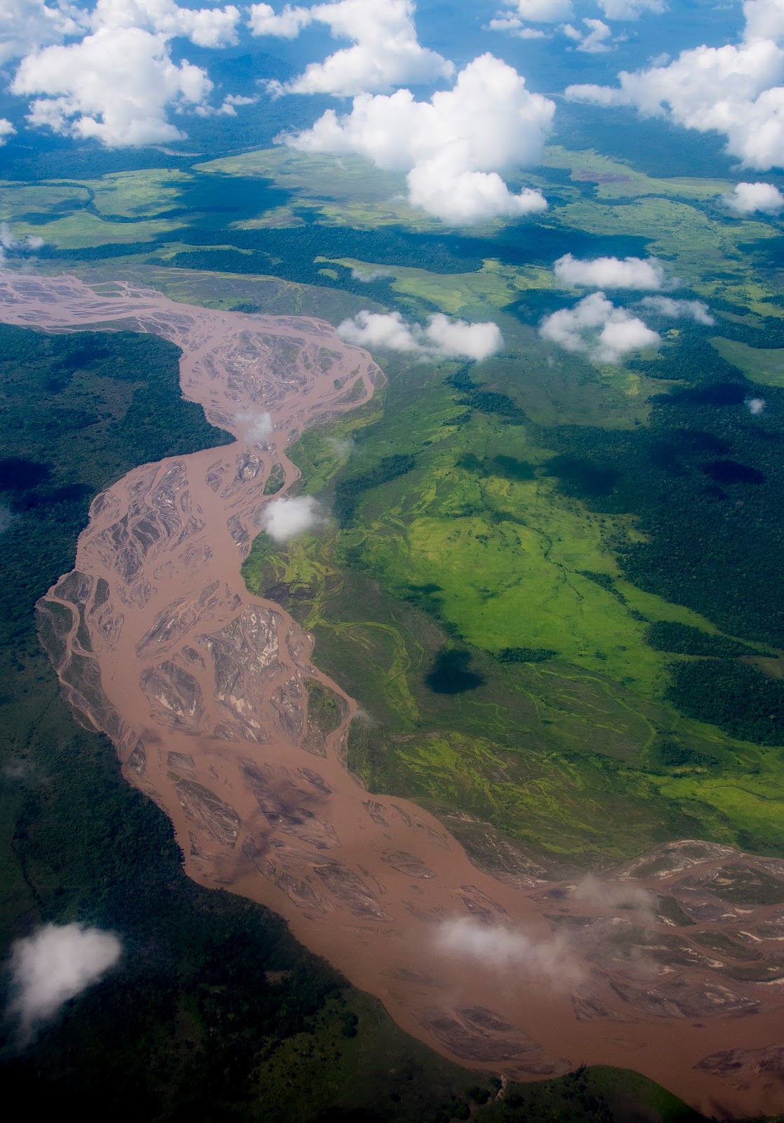 Tree Kangaroo Conservation Program: 20 Years of Awesome