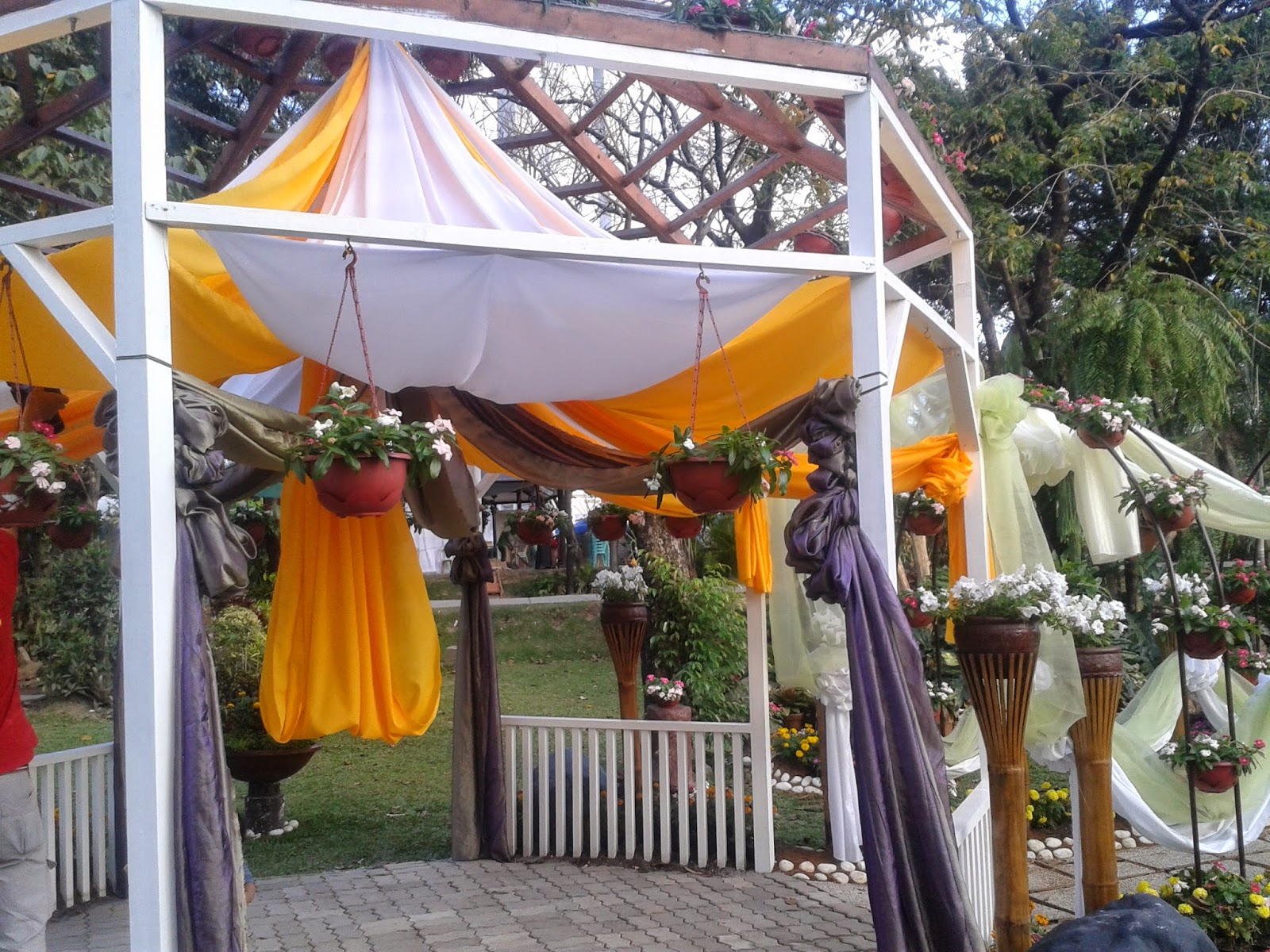 Debut Themes and Ideas