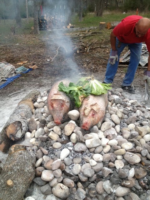 Practially Provident: Samoan Pig BBQ Mmmmmmm!