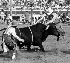 The Barefoot Peckerwood: Texas Prison Rodeo