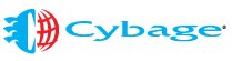 IT Careers: Walkin Interview @ Cybage in Gandhinagar on 23rd April 2011