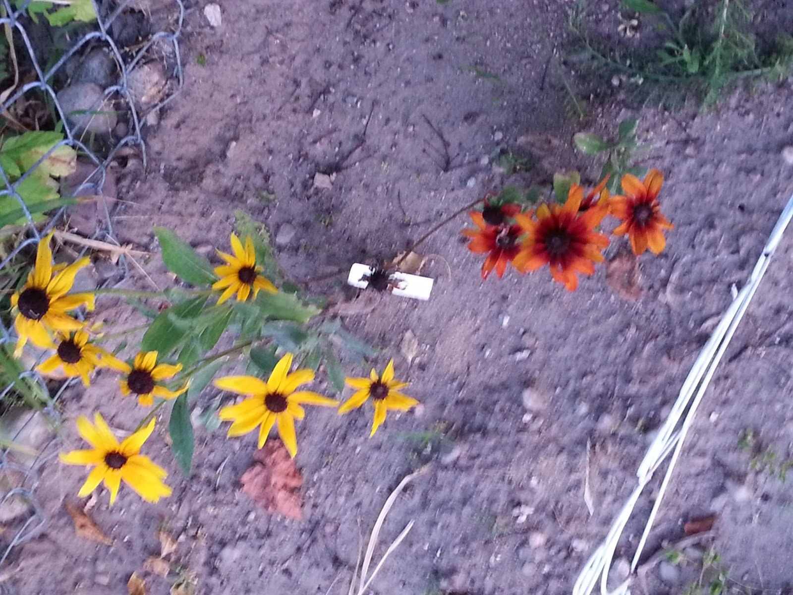 Kathleen's Personal Touch