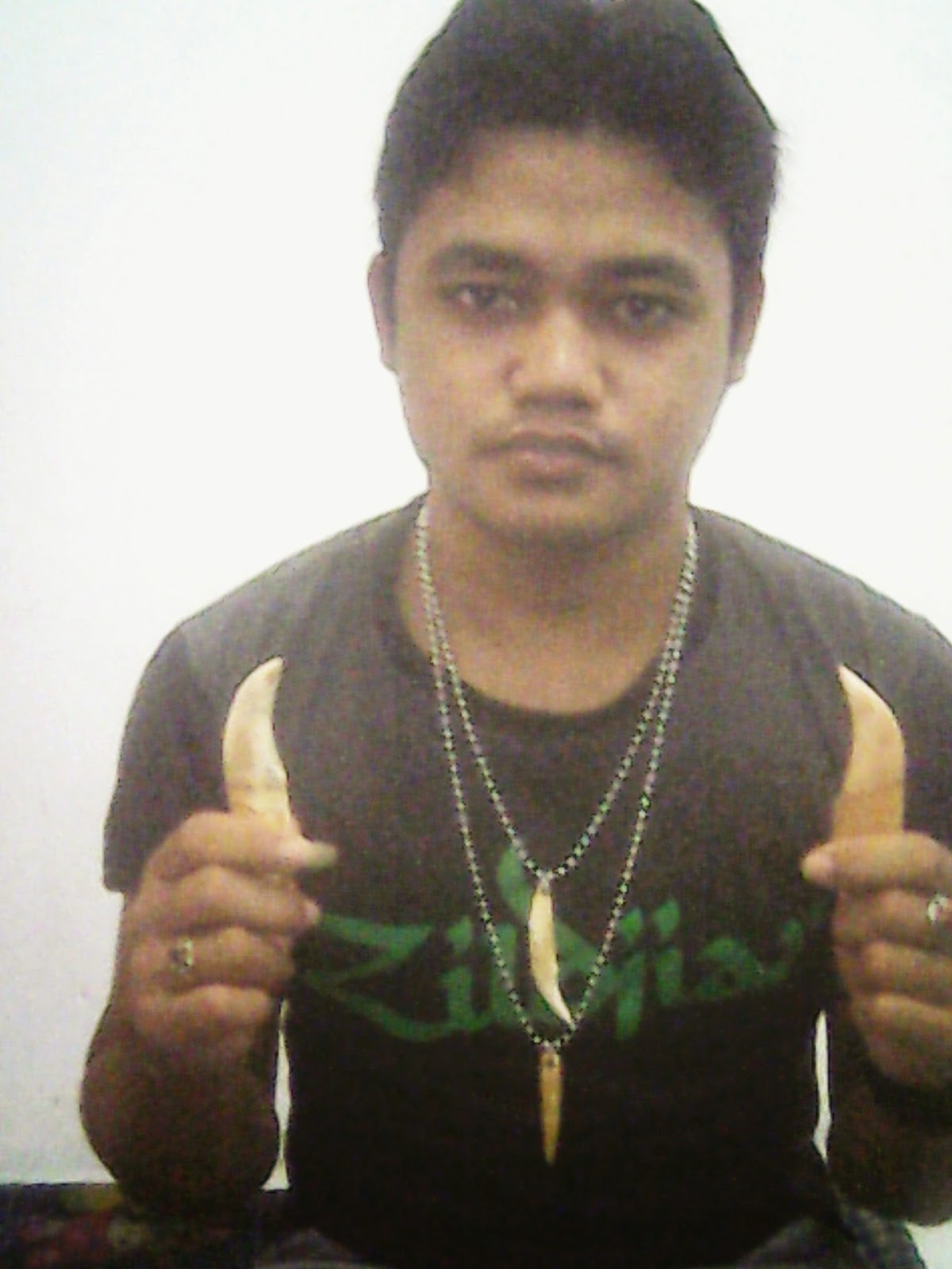 wahana pertanian: Siung Macan