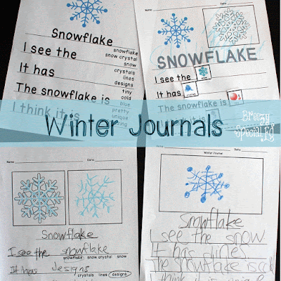 Winter Themed LA, Math, and Crafts: Lessons for Special Education ...