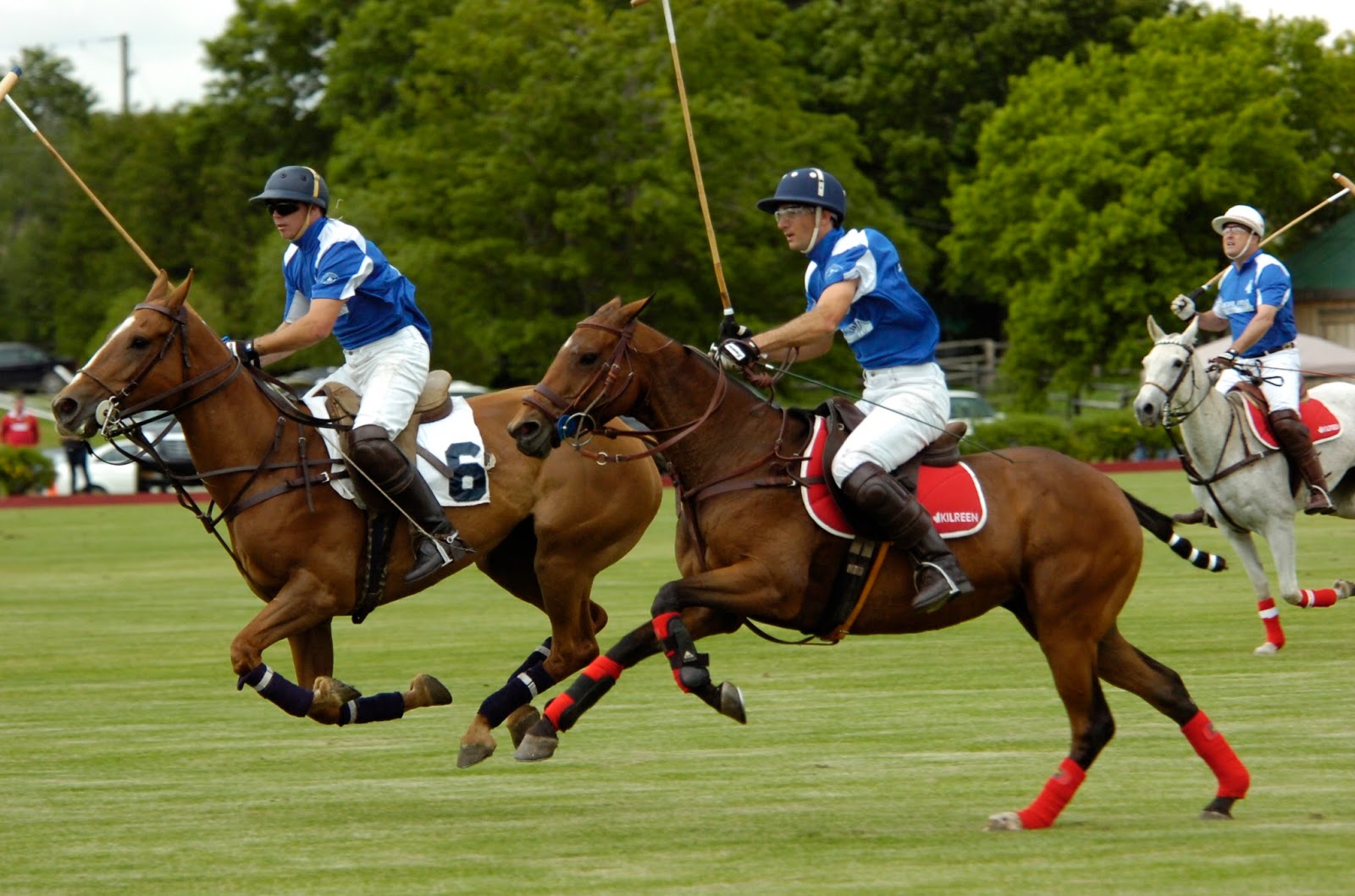 Radar de Viajes 🛫: Viaje al corazón del polo en La Aguada Polo & Resort