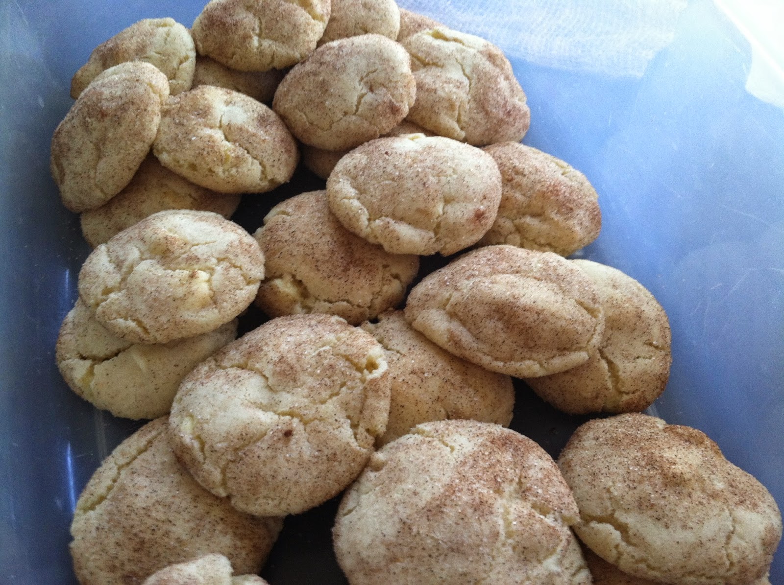 Lindsey's Kitchen: Macadoodles