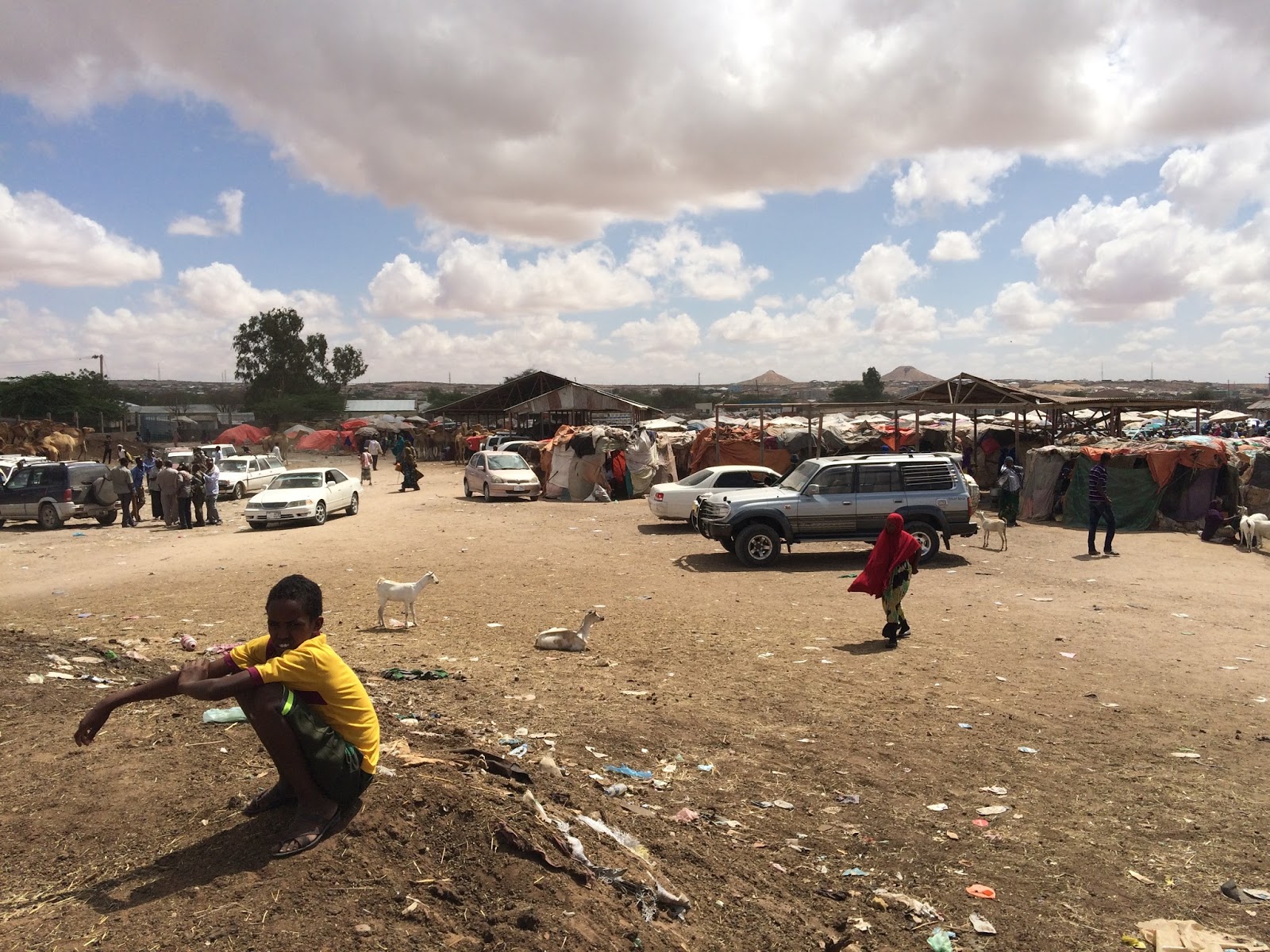 Mary Harper: Hadrawi: The Somali Shakespeare