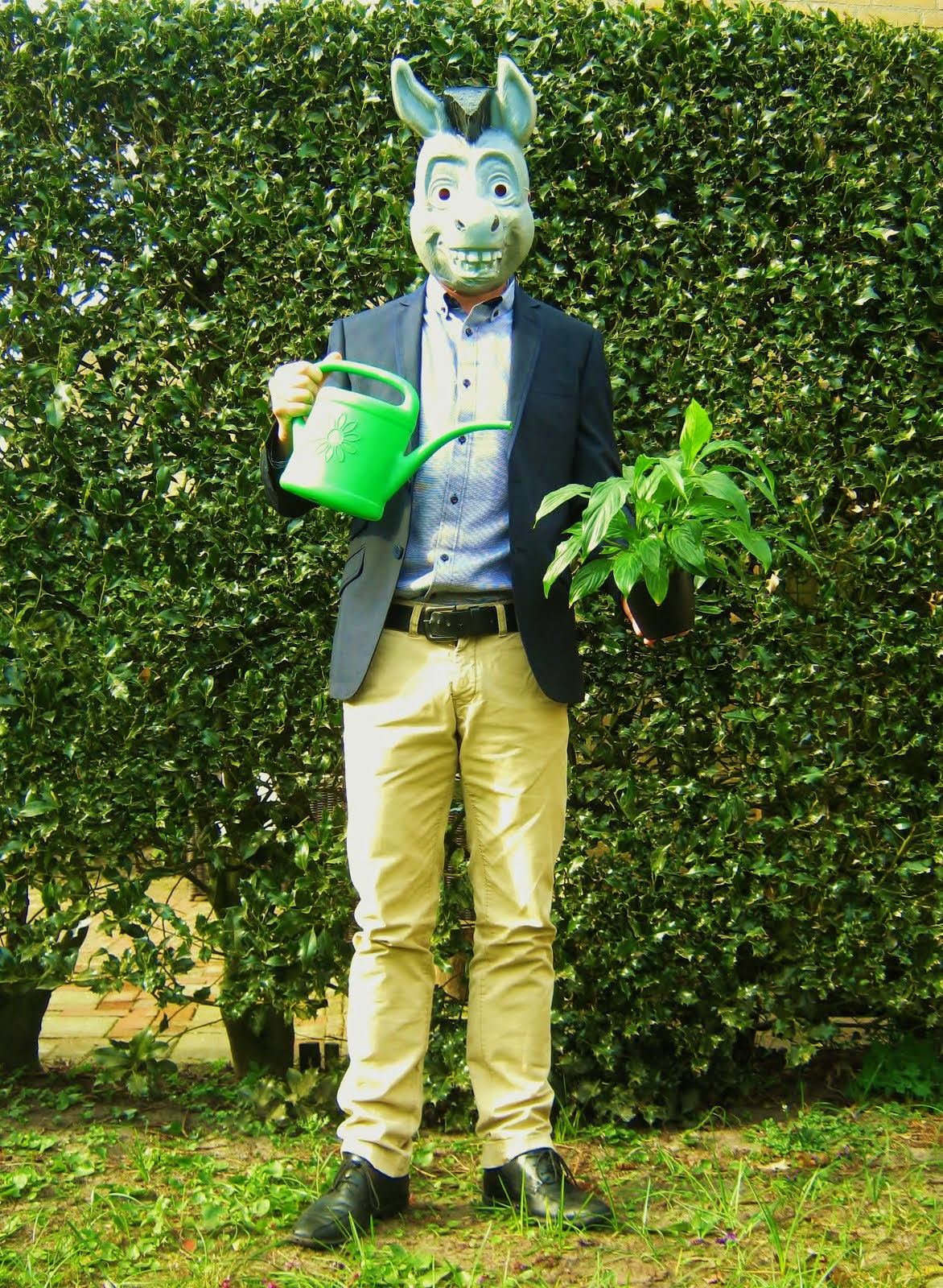 De Groene Ezel: Mijn ode aan kunstenaar Jeff Hong