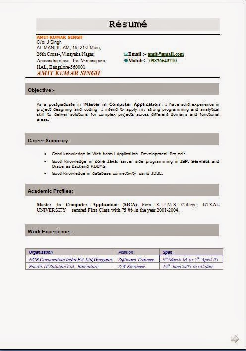 international format of cv