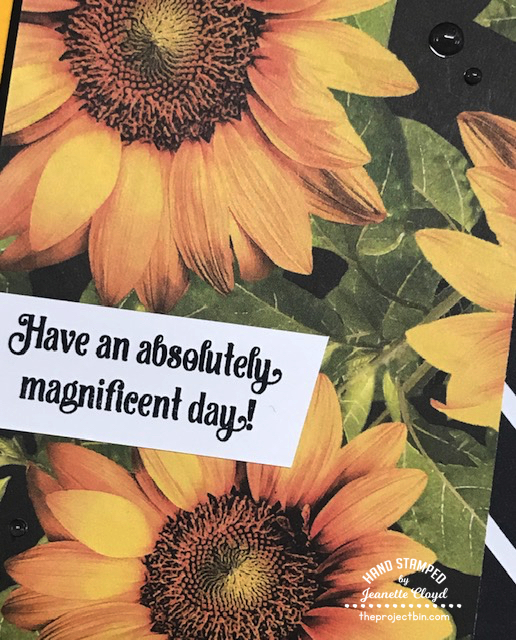 Cre8tive Play: A Magnificent Day!