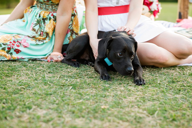 Wonderlust: {A Quick Glimpse} Photo Shoot with Michelle Landreau