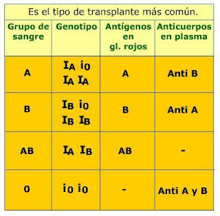 BIOLOGÍA SAN ISIDRO : Genética: CODOMINANCIA Y ALELOS MÚLTIPLES