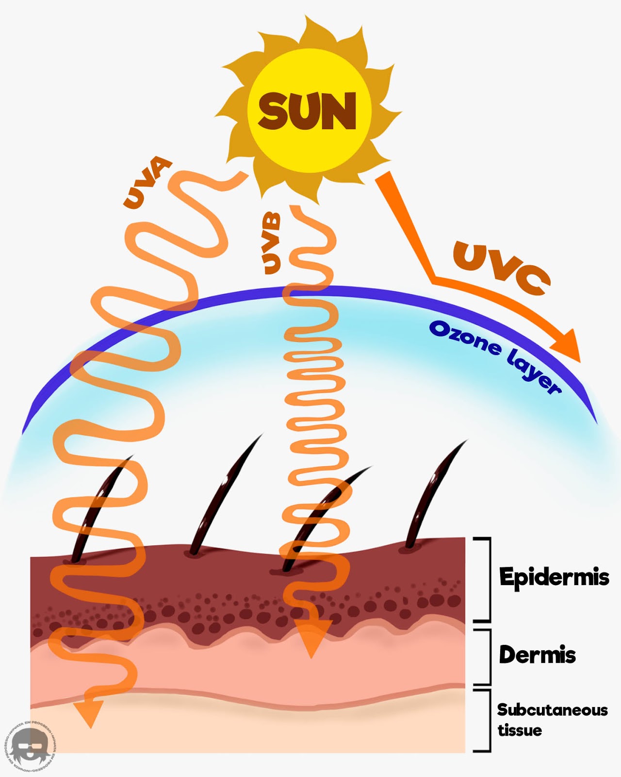 [TIPS]: Sun Protection Basic Guide - Novata en Progreso