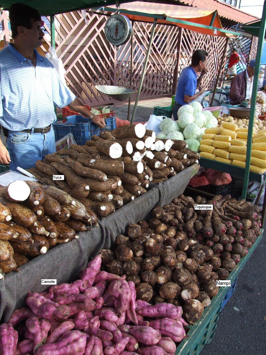 Noti MAG: Costa Rica produce gran variedad de Raíces y Tubérculos
