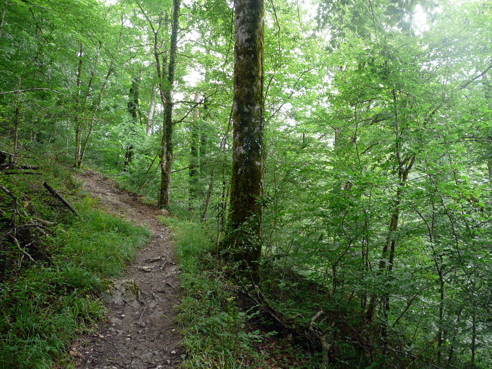 viajar a ratos: Larrau en el Pirineo francés