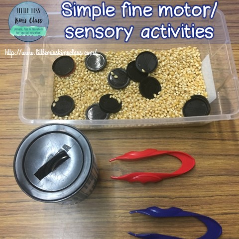 Little Miss Kim's Class: Simple Fine Motor/ Sensory Activities for ...